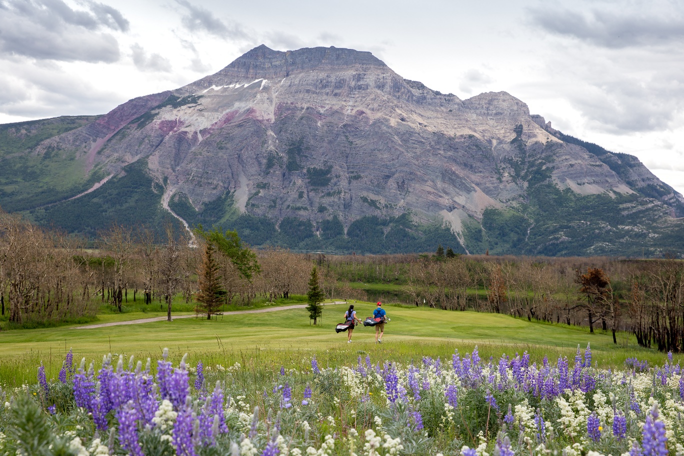 Lakeland Group of Companies - Waterton Lakes Golf Course